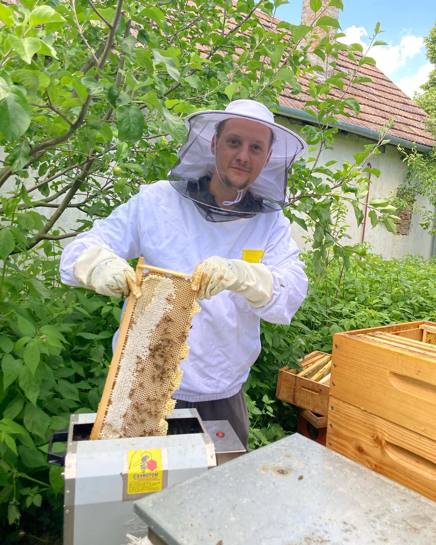 Najtelo včelí plást s medom 200g Raw 100% prírodný – Martons